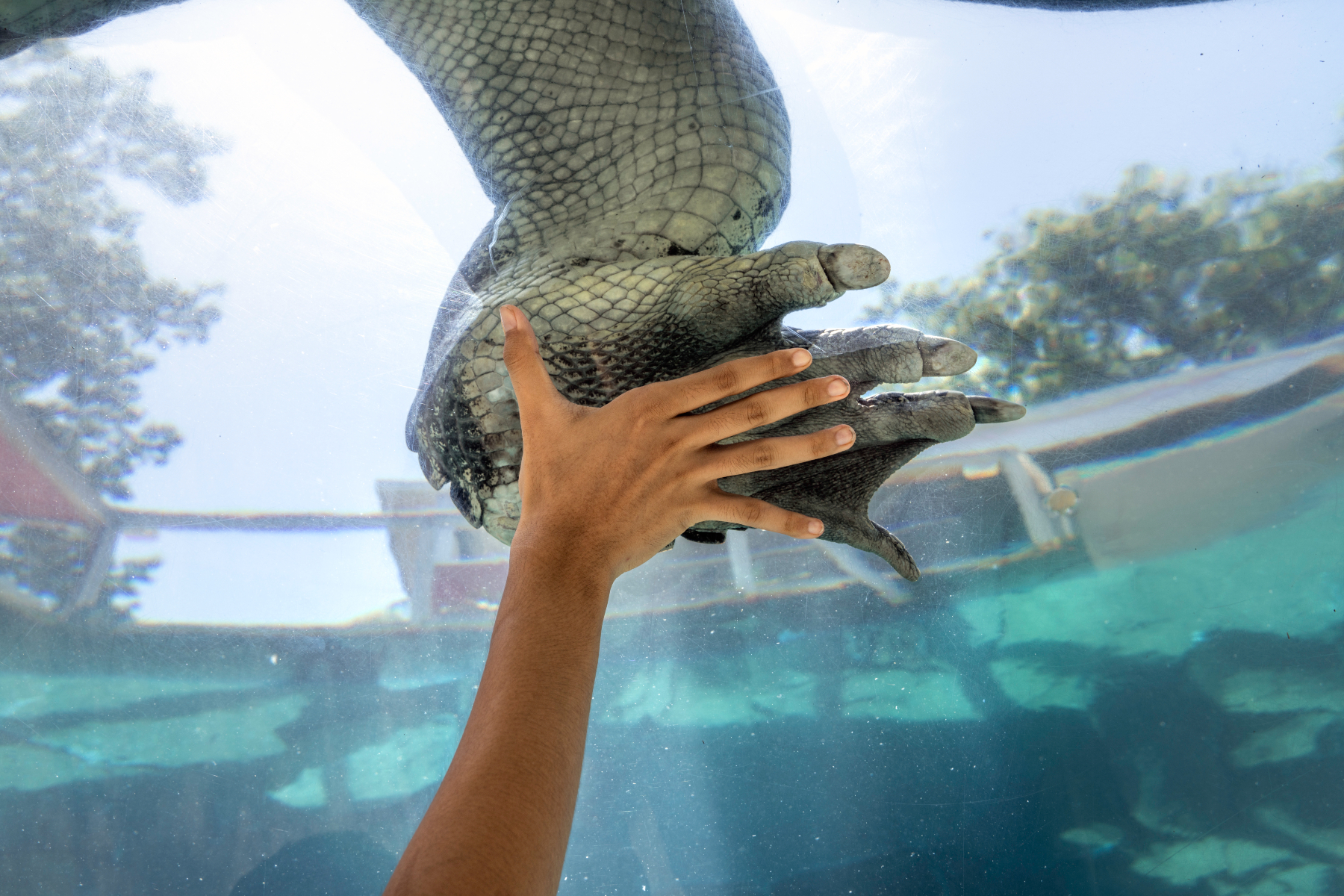 Top 5 Family-Friendly Activities in Darwin