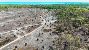 Dundee Beach, NT: Top 5 Must-Do Activities - The Feel Good Family