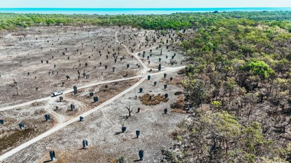 Dundee Beach, NT: Top 5 Must-Do Activities - The Feel Good Family